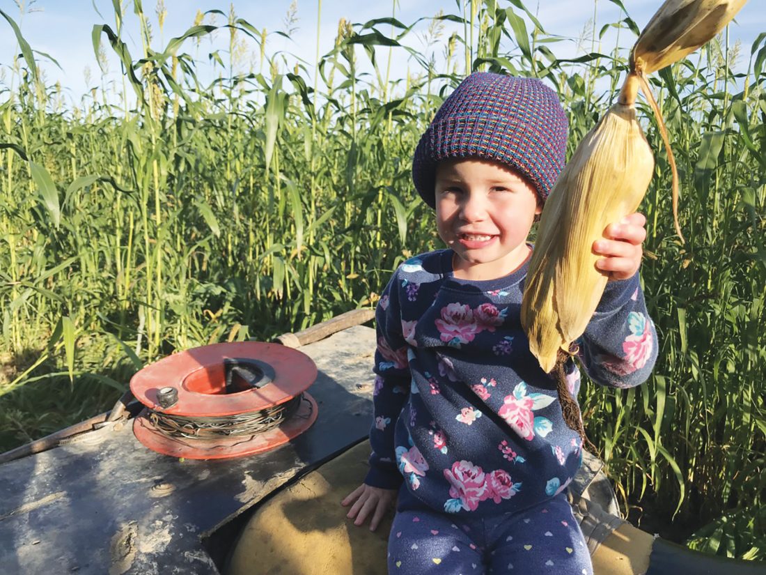 Two southwest Minnesota farmers talk about ‘the big change’ on the ...